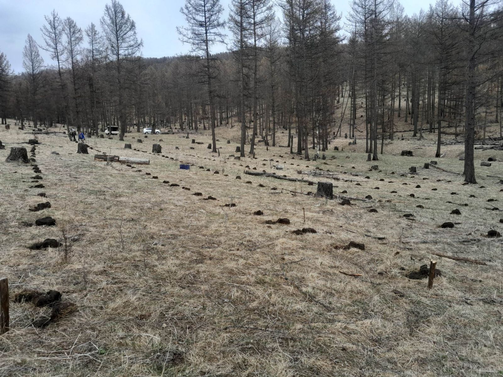 Булган аймгийн Байгаль орчны газар